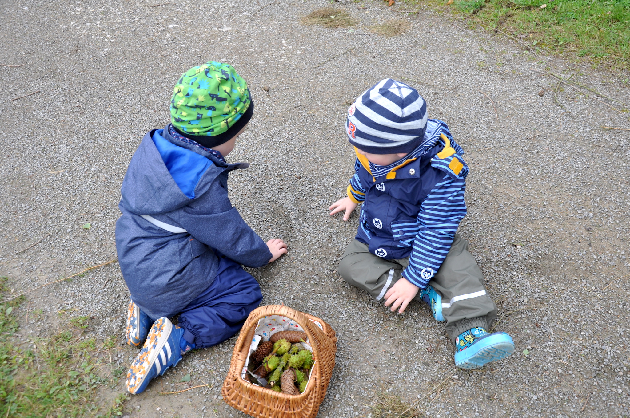 9 Spiel- und Beschäftigungsideen mit Kindern im Wald › nordhessenmami.de